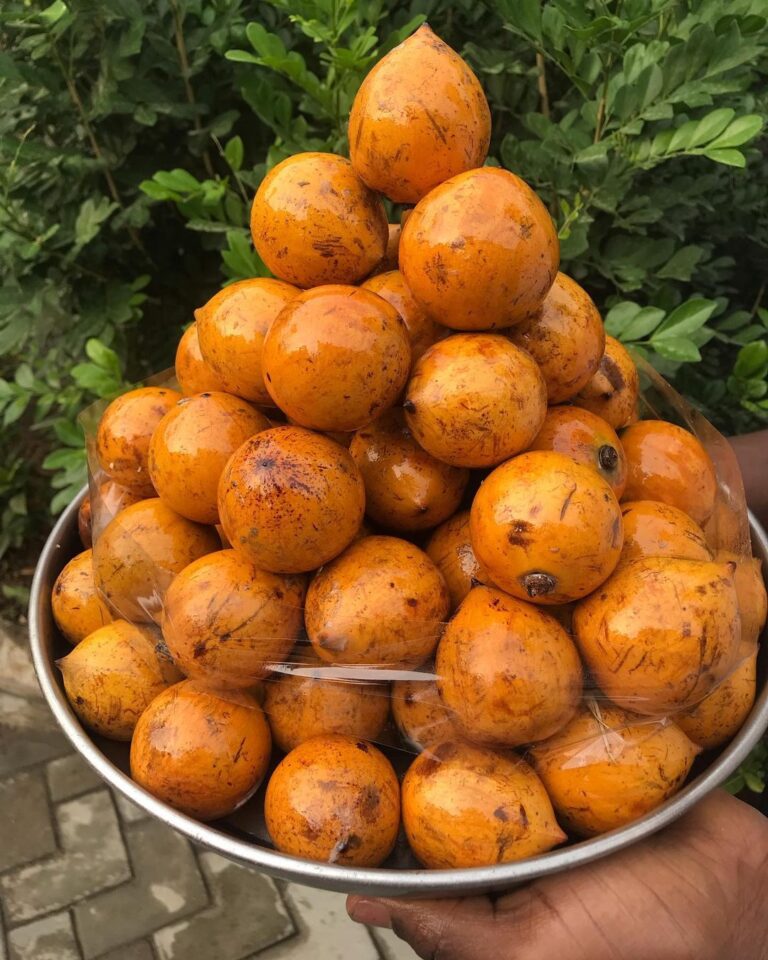 Cotonou Agbalumo – House of Sweetness