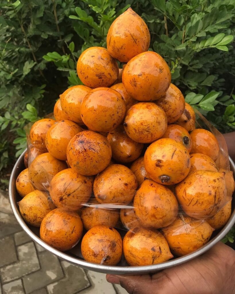 Cotonou Agbalumo – Cotonou Agbalumo